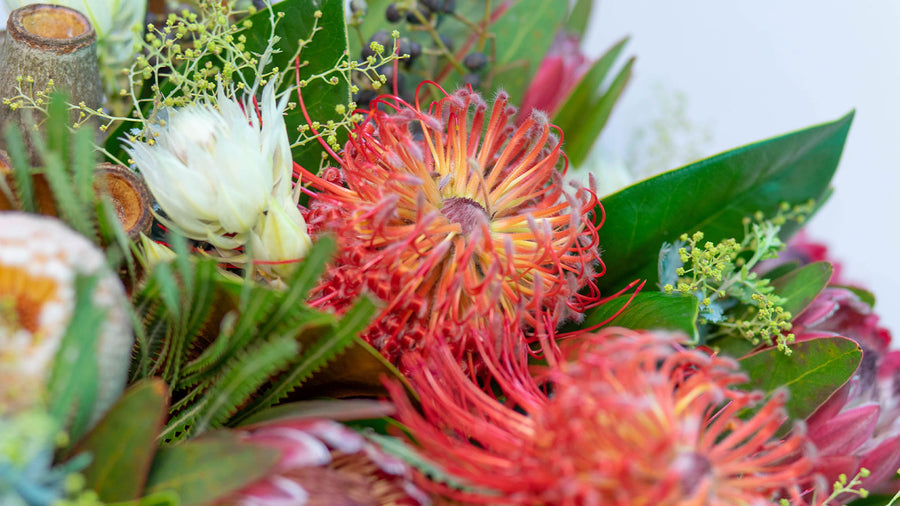 Brisbane Market Flowers - Same-Day Flower Delivery in Brisbane