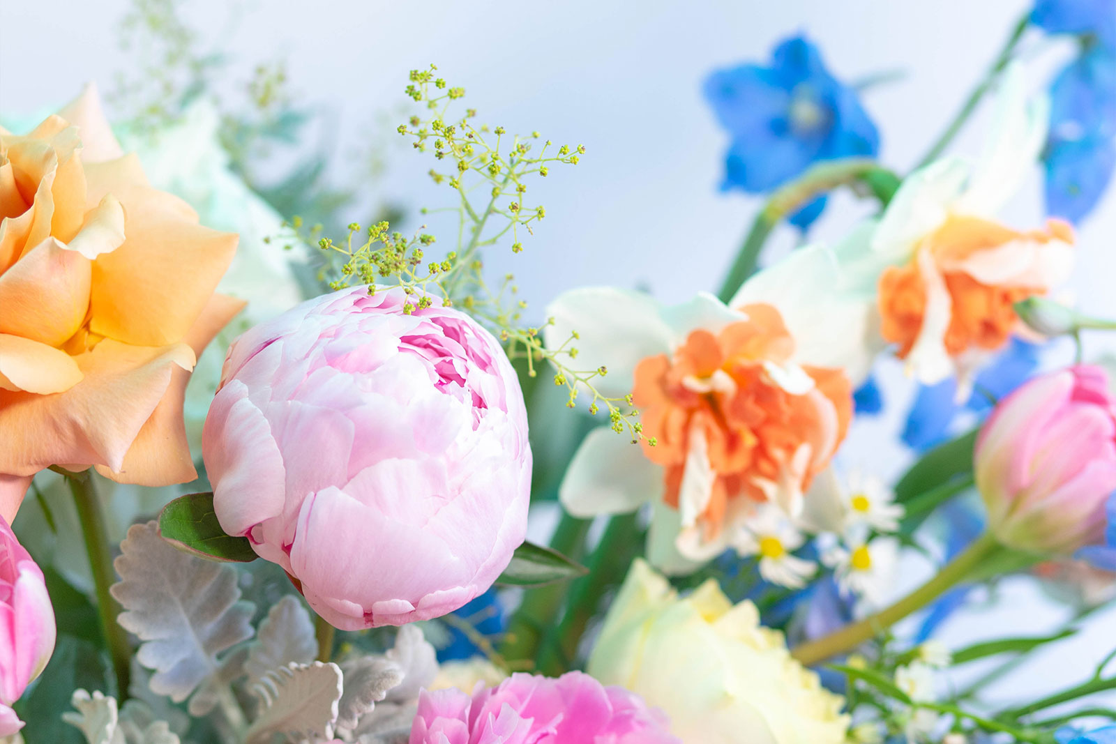 Brisbane Market Flowers - Same-Day Flower Delivery in Brisbane