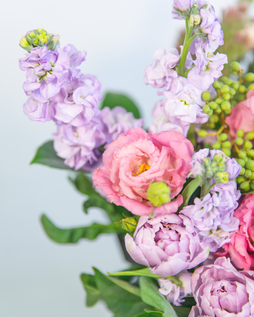 Audrey Soft Seasonal Box Arrangement – Brisbane Market Flowers
