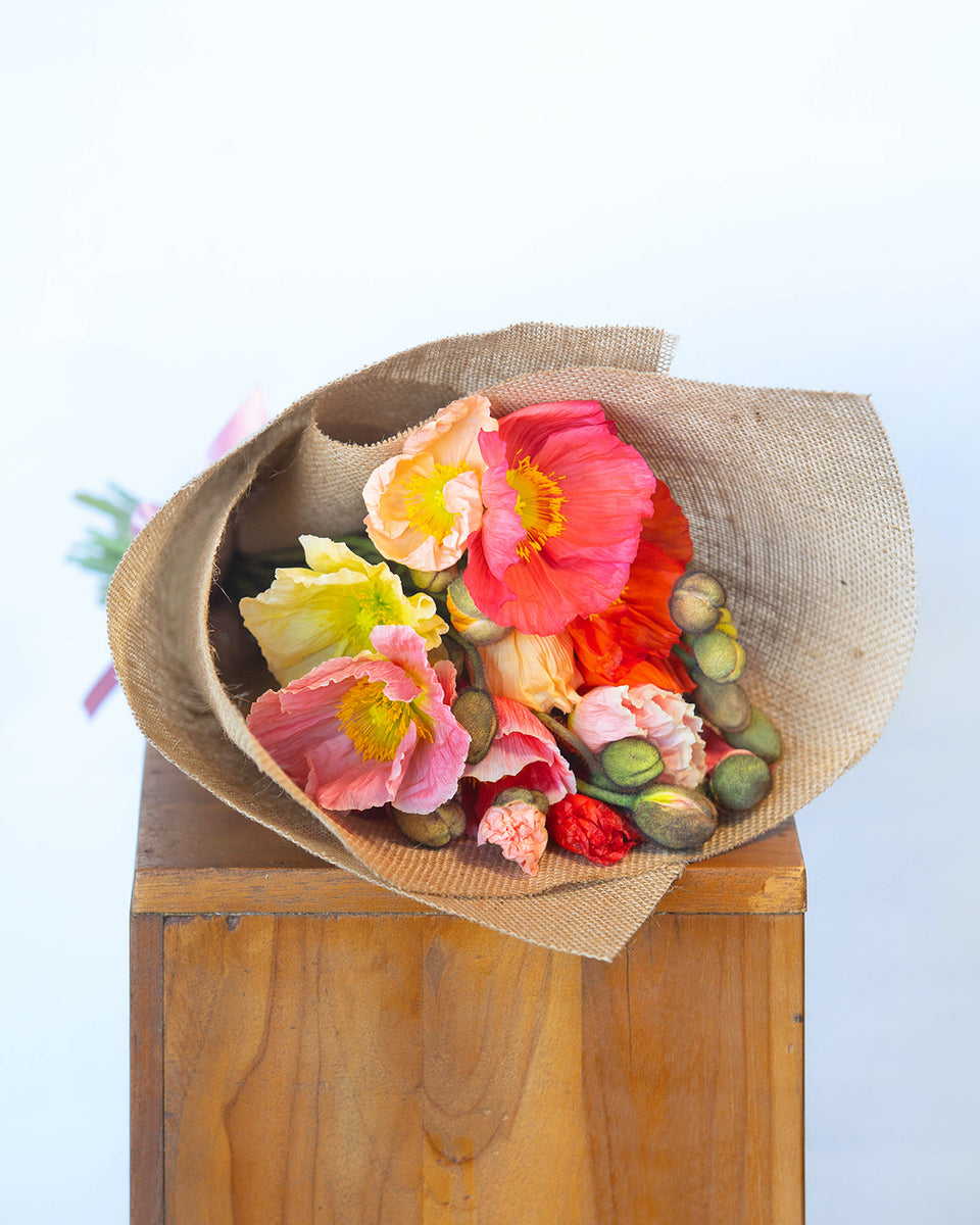 Poppy Wrap – Brisbane Market Flowers